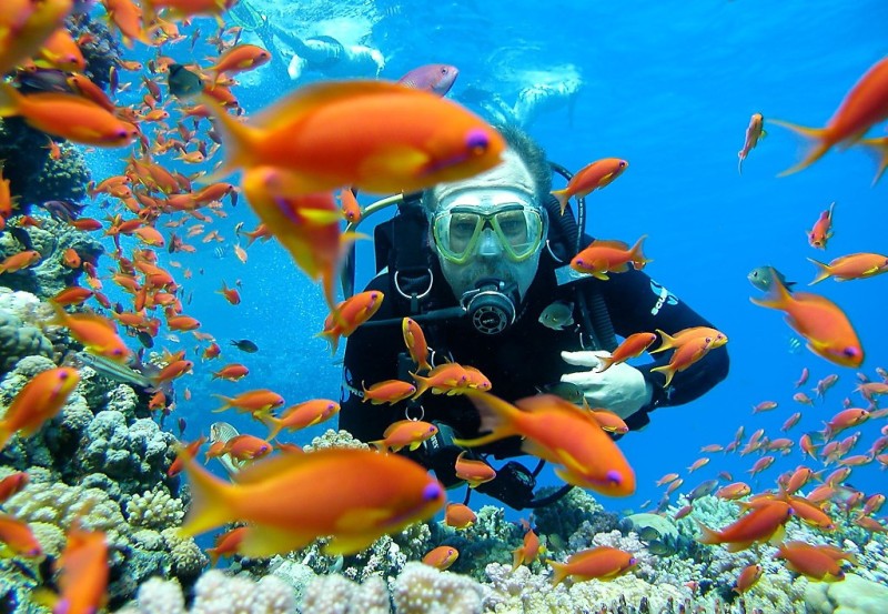 Nurkowanie Hurghada - Dzień Dobry Egipt